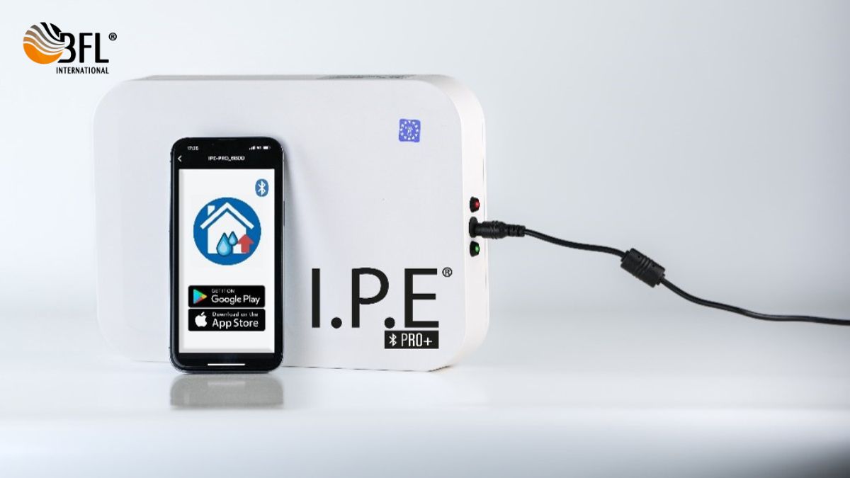 News | BFL® International