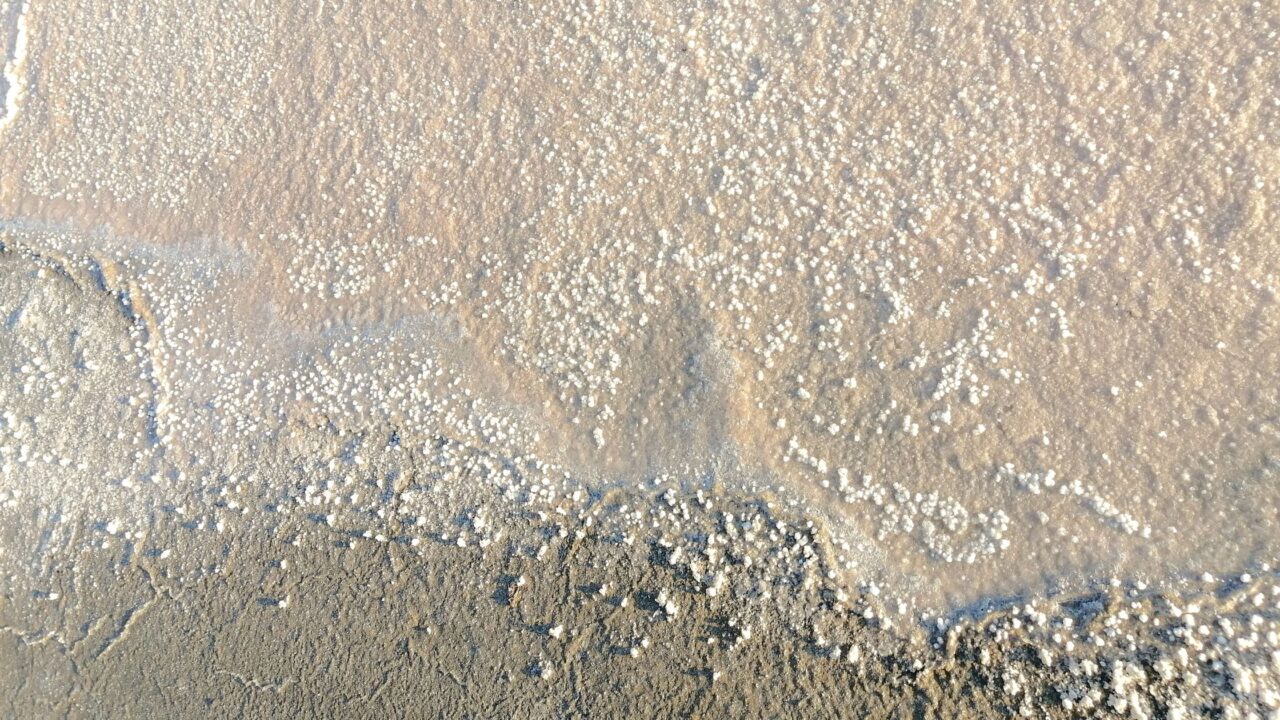 Saltpetre : How can you get rid of traces of saltpetre? | BFL ...