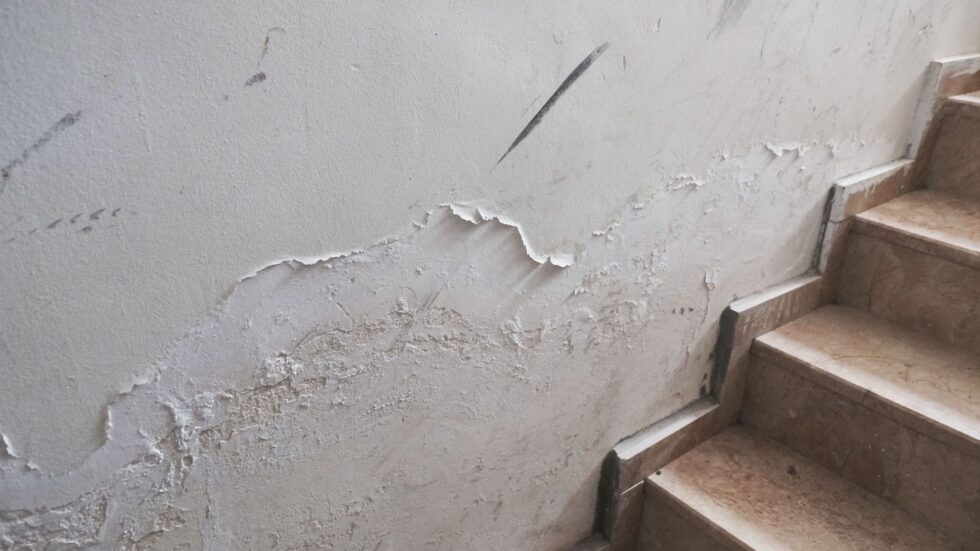Diagnose Rising Damp | Rising Damp Treatment | BFL® International